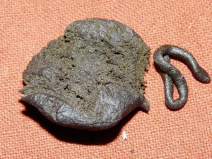 Parvati - Kwik Seeds - Landrace Seeds - The Real Seed Company