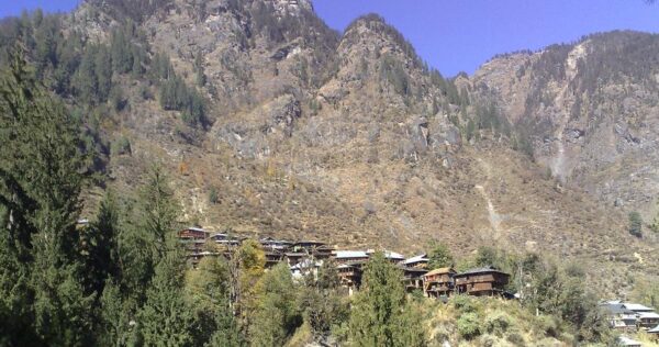 Blog - Page 2 of 5 - Kwik Seeds